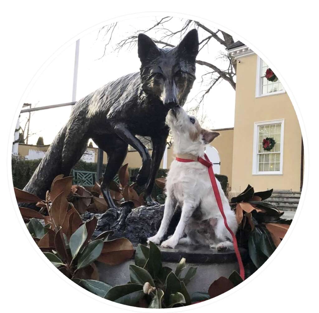 Fox Monument - Sculpting Horses Workshop